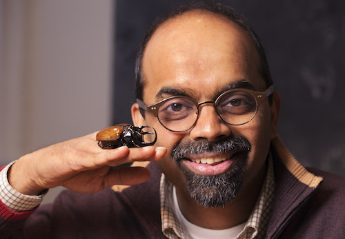 L. Mahadevan Named 2021 Simons Investigator | Plant Biology Initiative ...